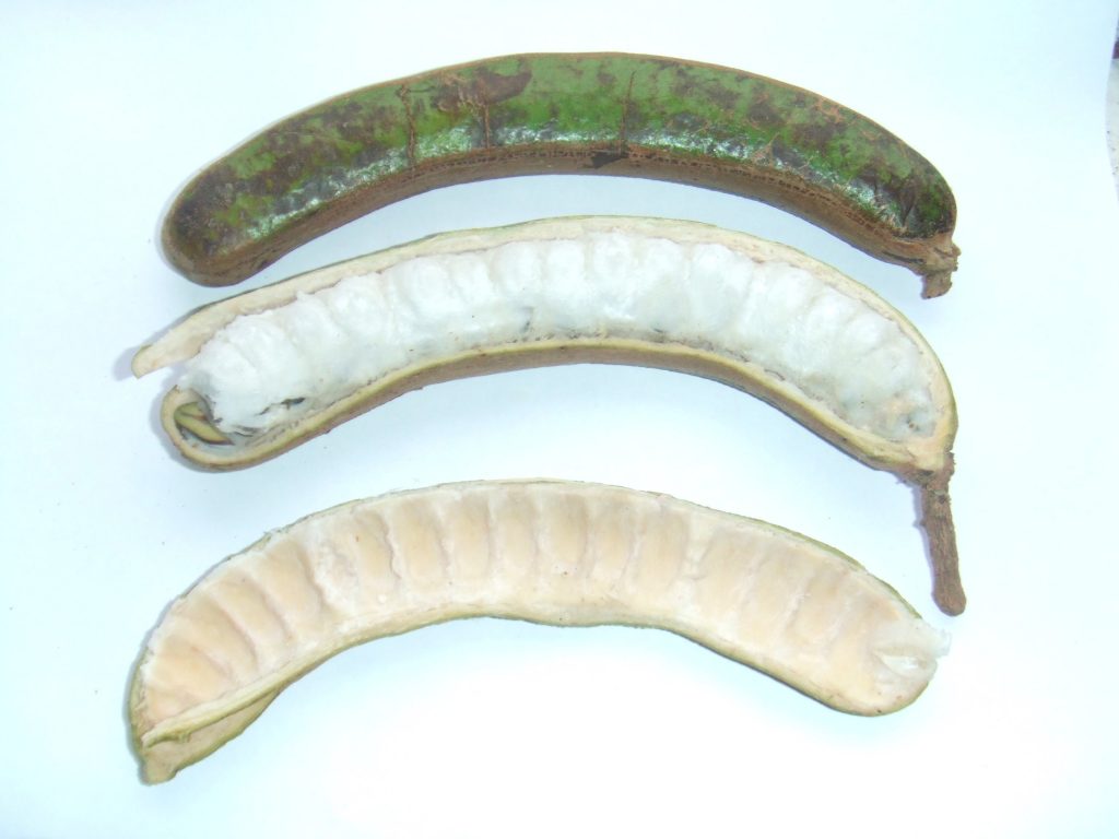 Ces 4 fruits du Costa Rica introuvables en France ! | Costa Rica Voyage