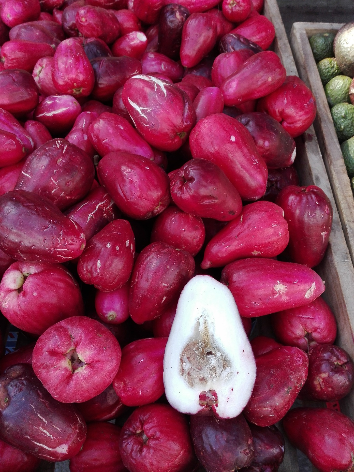 pomme_eau_costa_rica_voyage - Costa Rica Voyage